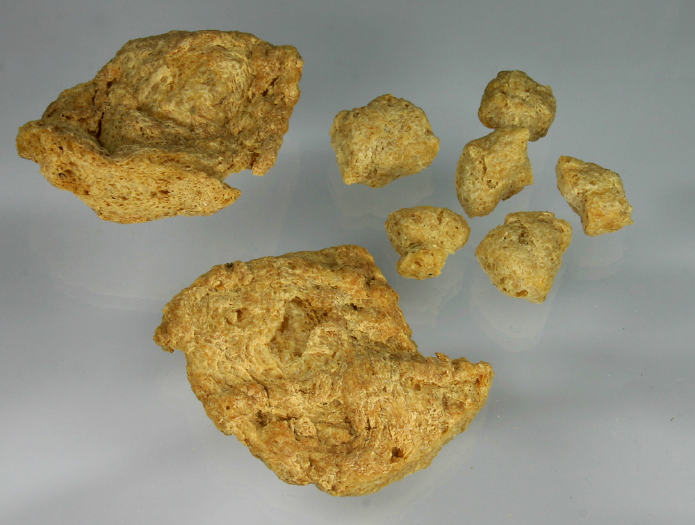 Interessante Fakten zum Sojaprotein | eiweiss.com