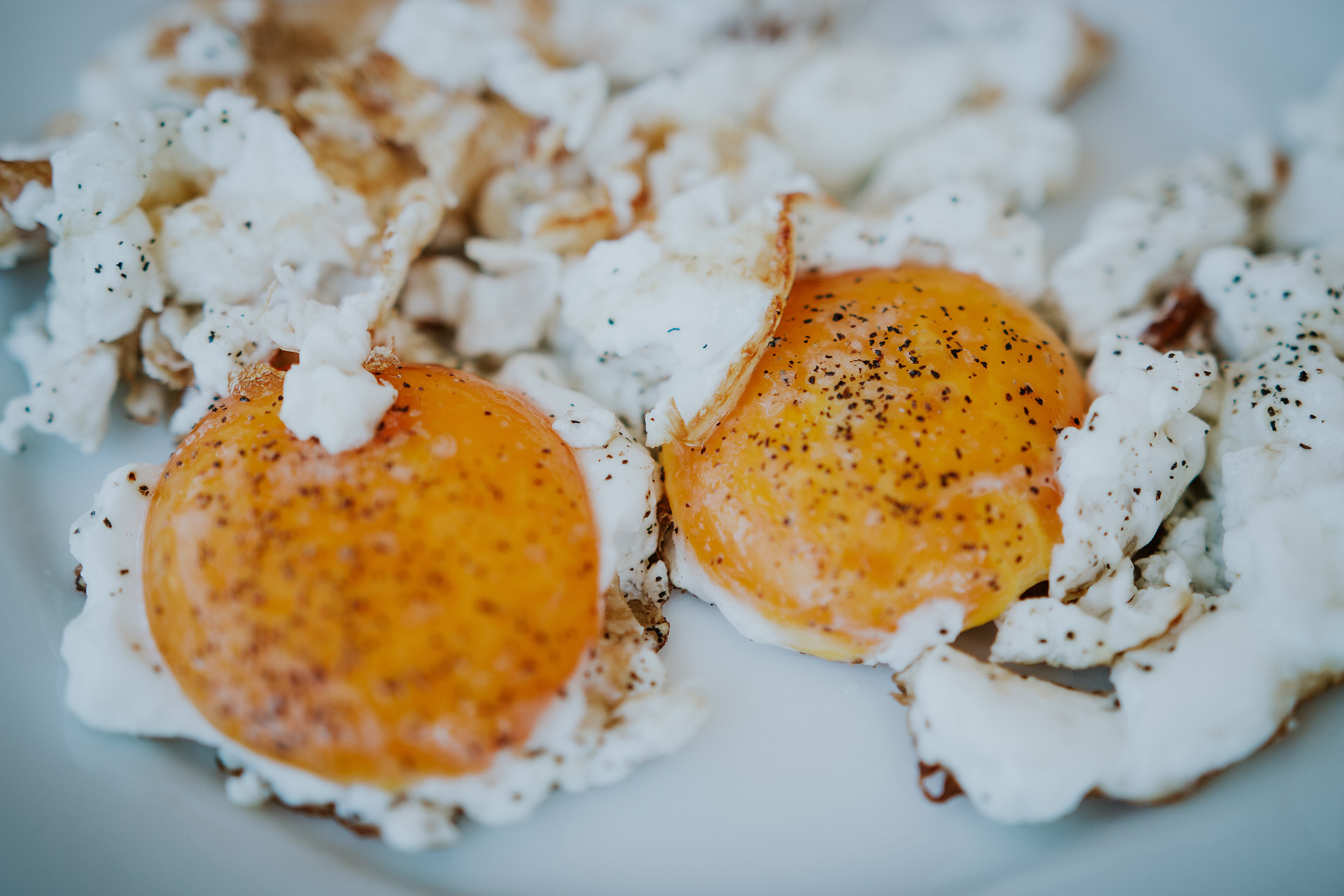 Eiweiss, Protein | Online Shop | 24h Lieferung | eiweiss.com